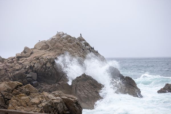 Restless Sea